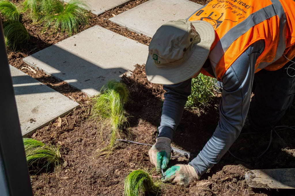 Residential Irrigation Services in Boulder, CO | LID Landscapes